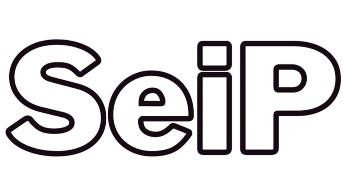 Forschungsprojekt SeiP